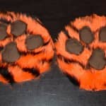 Wildlife and Animal Activities for Children