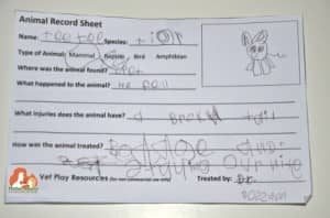 Vet Play Printables for kids: Free Printable Resources