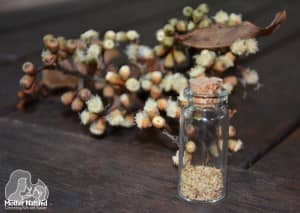 Nature's glitter: biodegradable glitter, fragrant and fun - Mother Natured