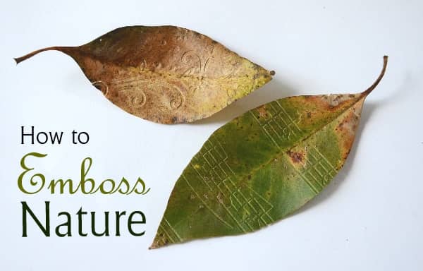 How to emboss nature to create stunning texture and patterns