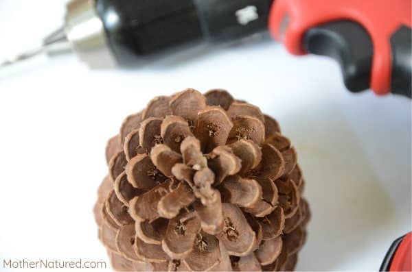 Pinecone threading for kids: weave around and through it