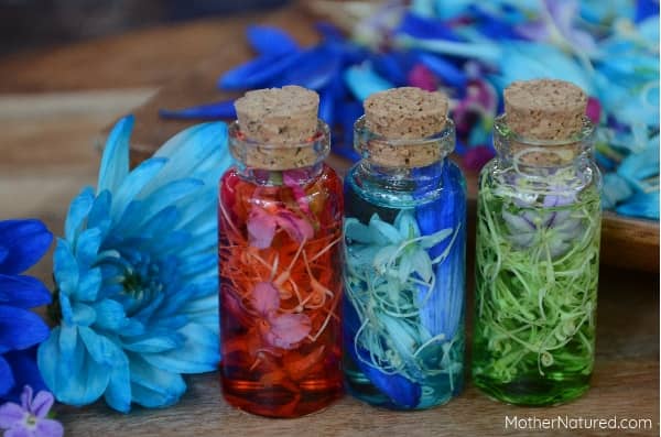 Flower petal potions: your go to flower petal activity!