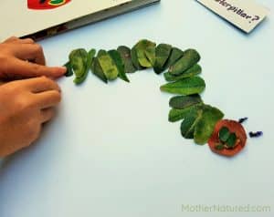 The Very Hungry Caterpillar Nature Craft - Mother Natured