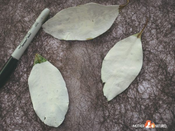 Spooky Leaf Ghosts for Halloween - Mother Natured