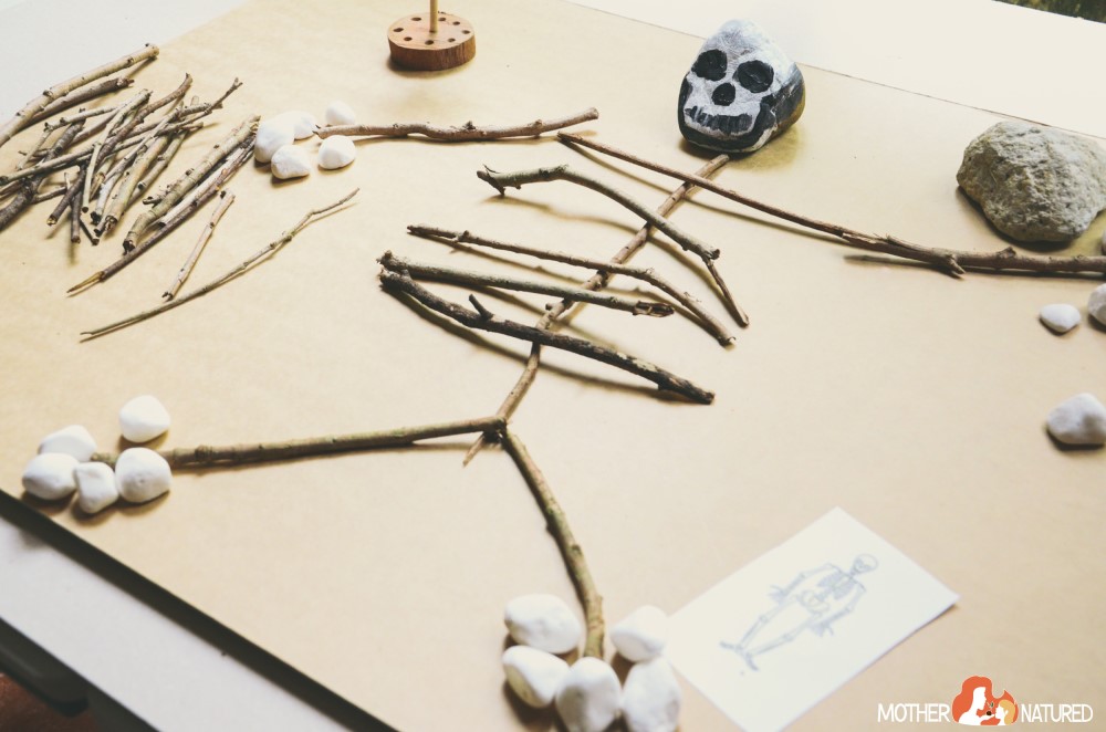 Make a SKELETON with sticks and have fun learning about bones!