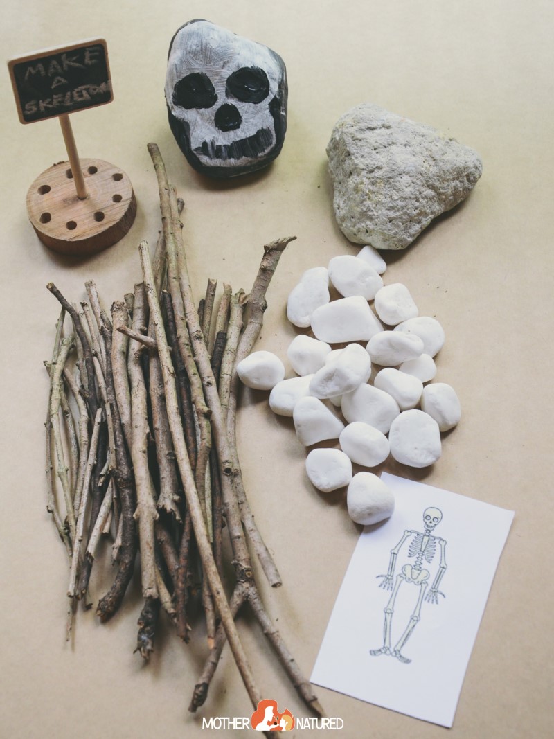 Make a SKELETON with sticks and have fun learning about bones!