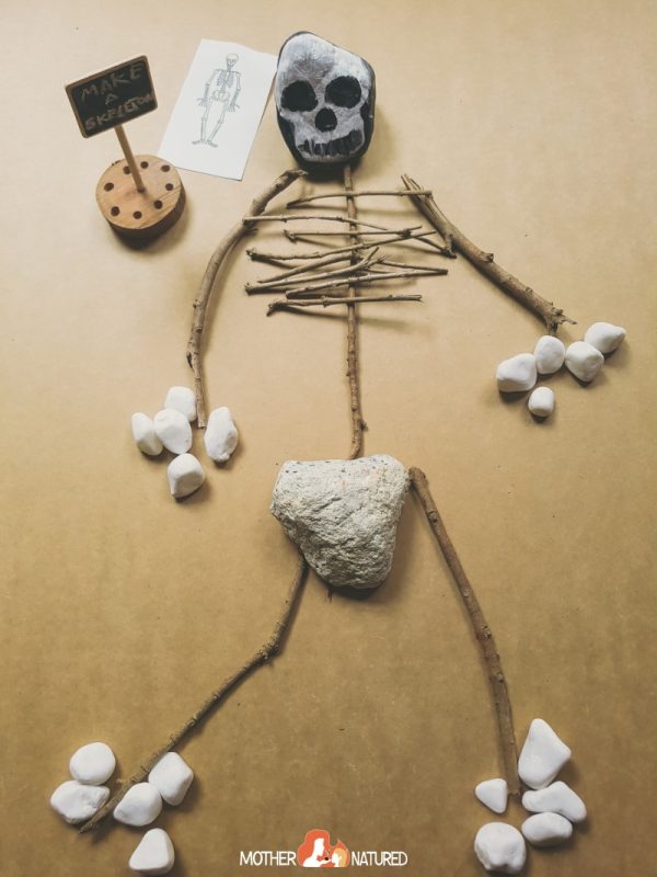 Make a SKELETON with sticks and have fun learning about bones!
