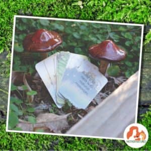 Nature Play Prompt Cards - Mother Natured