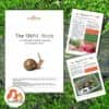 The Snail Care Book & Printables - Mother Natured
