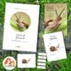 The Snail Care Book & Printables - Mother Natured