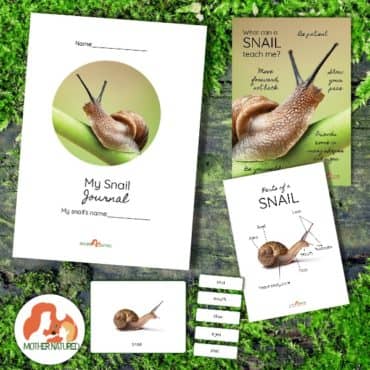 The Snail Care Book & Printables - Mother Natured