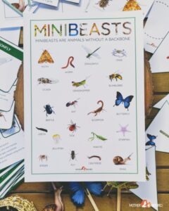 Minibeast Study Pack - Mother Natured