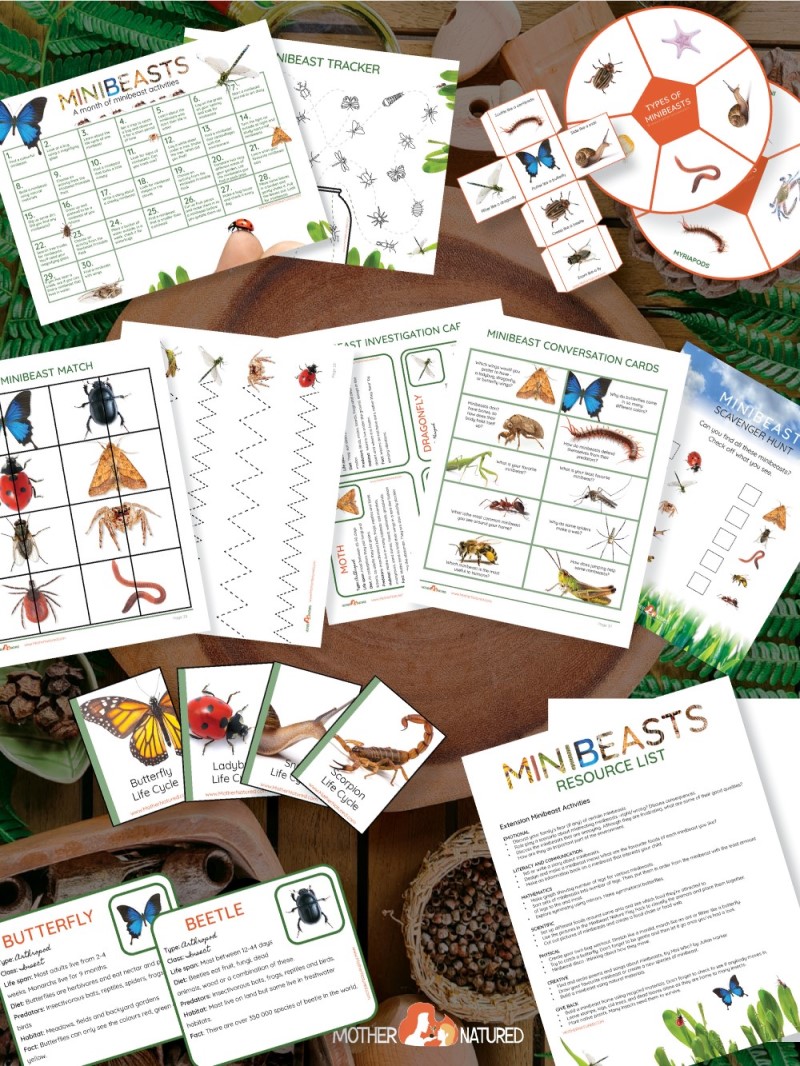 Minibeast Study Pack - Mother Natured