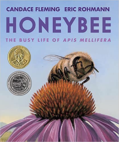 The best Highly Recommended Bee Books for Children - Mother Natured