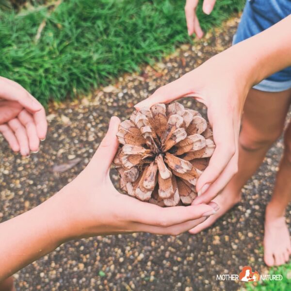 Outdoor Nature Games For Children Mother Natured outdoor-nature-games-for-children-mother-natured
