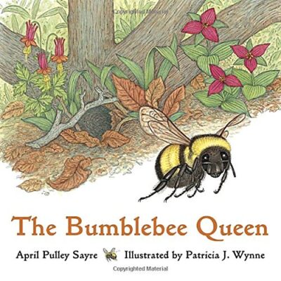The best Highly Recommended Bee Books for Children - Mother Natured